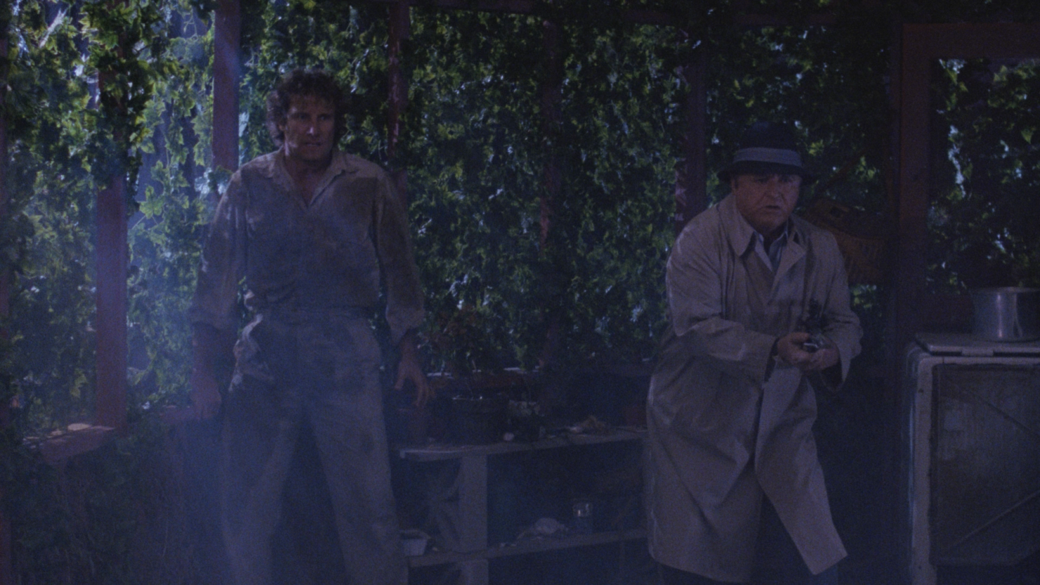 The Kindred Standard Edition Blu-ray Review (Synapse Films) – In Poor Taste